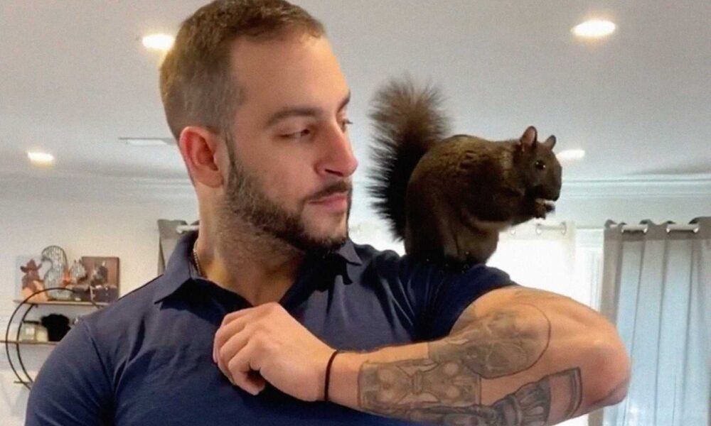 Peanut the Squirrel: How a Beloved Pet Became a Political Flashpoint in ... Peanut the Squirrel: How a Beloved Pet Became a Political Flashpoint in ...